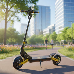 DRAGON RAPTOR ELECTRIC SCOOTER - ALL TERRAIN DUAL MOTOR